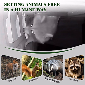 Raccoon One Way Eviction Door, Raccoon Trap Live Catcher, The Raccoon Trap Contactless Excluder for Attics, Under Decks, and Chimneys, DIY Installation(with 8 Tie Tapes)