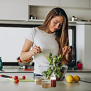 ZIIVARD 4 Pieces Mini Squeeze Bottles 2 OZ Bento Box Plastic Condiment Bottle Tomato Ketchup Honey Salad Dressing Container (style 3)