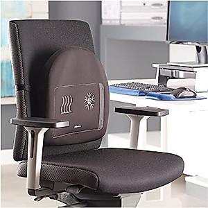 Fellowes 9190001 Climate Control Back Rest, 14 1/2W X 3D X 13 5/8H, Black