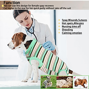 Wabdhaly Dog Surgery Recovery Suit,Surgical Recovery Suit for Large Female Dgos Spay,Zipper Closure,Combed Cotton Breathable Onesie,Multi Green Striped L