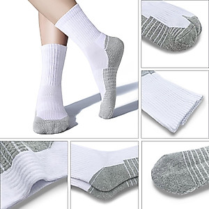 Begrily Men's Cotton Athletic Cushioned Crew Socks with Arch Compression Performance for Running Exercise Hiking 6 Pack White