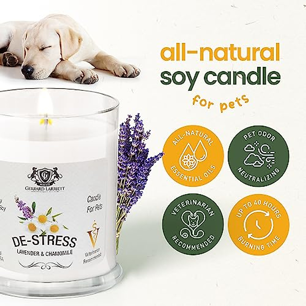 Gerrard Larriett - Deodorizing Soy Candles for Pets, Scented Candles for Removing Pet/Household Odors, Lasts up to 40 Hours, White Candles for Home Scented with De-Stress Lavender & Chamomile Fragrance, 10 oz