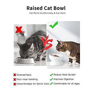 ABRUTY Cat Water Bowl, 16 OZ Ceramic Elevated Cat Dish, 15° Tilted and Raised Pet Food Bowl, Anti Vomiting Protect Pets' Spines and Whisker Fatigue