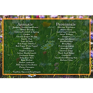 340,000 Wildflower Seeds, 1/2 lb, 35 Varieties of Flower Seeds, Mix of Annual and Perennial Seeds for Planting, Attract Butterflies and Hummingbirds, Non-GMO