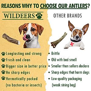 Wildeers Premium Deer Antlers for Dogs - Dog Antler Chews - Made in USA, Naturally Shed, Healthy Treat - Grade A, 4-5 in, 3 Pieces, Long Lasting Antler Chew Bones for Aggressive Chewers (Small)