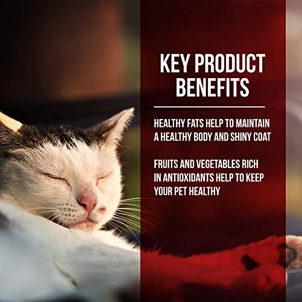 Fussie Cat Market Fresh Chicken & Turkey Meal Formula Grain-Free Dry Cat Food 4lb