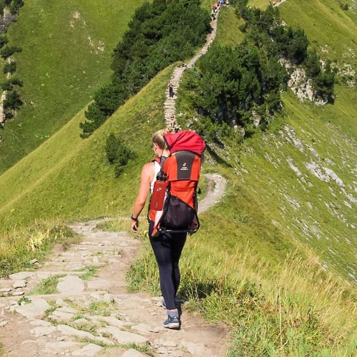 Hydro Energy [6-Pack 9.5-Inch] Replacement Straws for Hydro Flask Wide Mouth Water Bottle, 6 Straws and a 2 Straws Brushes Included