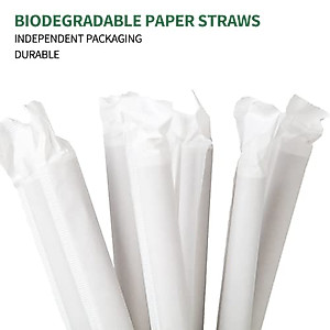 OURORANGE. 60 Pack. Disposable Degradable and Eco-friendly Individually Wrapped Paper Straws for Drinking. White