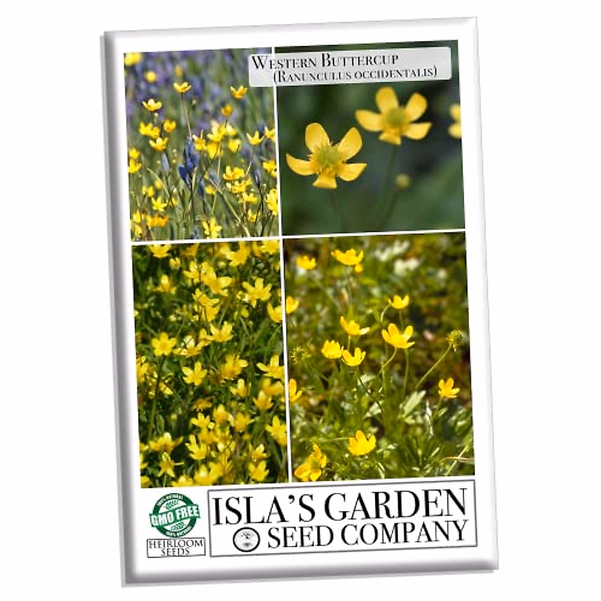 Western Buttercup Long Blooming Field Flower Seeds, 1000+ Seeds Per Packet, (Isla's Garden Seeds), Non GMO & Heirloom, Scientific Name: Ranunculus occidentalis, Great Home Garden Gift
