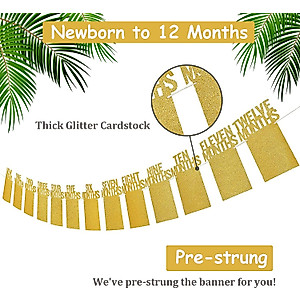 Wild One Birthday Decorations - Gold Glitter One Wild Year Banner + Baby 1st Birthday Photo Banner From Newborn to 12 Month - Safari, Jungle & Wild One Birthday Decorations