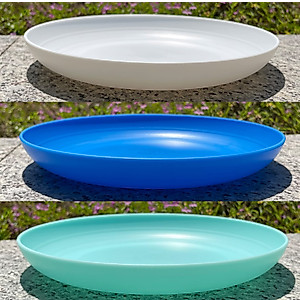 AOYITE 8-inch Plastic Plates Reusable, Lightweight Dinner Plate, BPA Free, Dishwasher Safe & Microwaveable, Dinnerware set of 6 Coastal Color