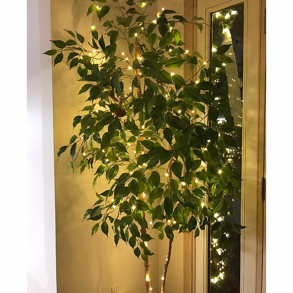 Lighting EVER Fairy Lights Plug in, 33ft 100 LED String Lights for Bedroom, Warm White Copper Wire Lights, Waterproof Indoor Outdoor Decorative Fairy Lights for Patio, Garden, Balcony, Vases, Craft