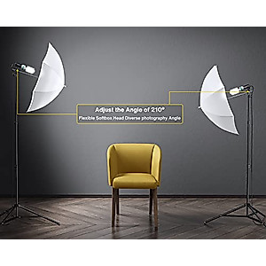 RALENO Photography Lighting Kit, 8.5 x 10ft Backdrop Stand with Green Screen, 5 x 85W CFL 5500K Light Bulb with Umbrellas for Product, Portrait and Video Shoot Photography