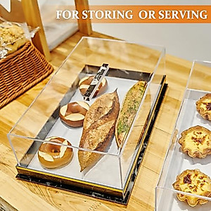 Acrylic Cake Tray with Lid, 15"x9"x4.7" Rectangle Cake Box, Dessert Holder Tray, Marble Cake Stand with Cover,Serving Tray with Lid for Party, Home and Kitchen,Veggie Tray, Fruit Bowl (White)