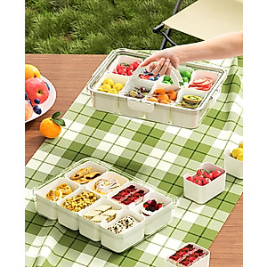 2 Pack Portable Snackle Box Container, Divided Serving Tray with Lid and Handle, Fruits, Clear Snack Platter Organizer and Storage for Adults Child (11.81" L*8.85"W-2pcs-8 Compartments)