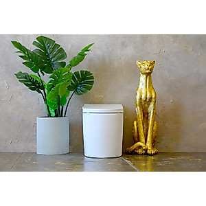 ALPHA BIDET UXT Pearl Bidet Toilet Combination | 1.28GPF Smart Toilet w/Next Gen Bidet | ADA Chair Height | Automatic Lid and Seat | Automatic Flushing | Endless Warm Water | 3 Year Warranty