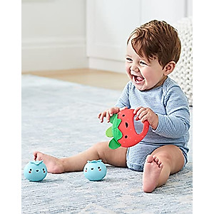 Skip Hop Baby Musical Toy Set, Farmstand, Berry Cute Band