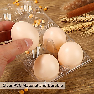 DAJAVE 100 Pack Plastic Egg Cartons, Clear Plastic Egg Cartons Bulk Holds up to 4 Eggs, Plastic Egg Holder for Family, Pasture, Farm Markets Display