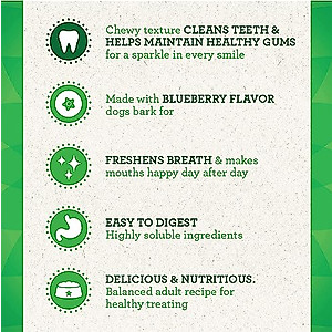 Gn Flavors Blueberry 12oz Teenie 43ct