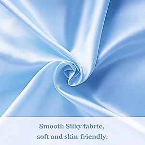 Luxury Satin Silk Pillow Case 2 Pack Pillowcase for Hair and Skin Satin Pillow Covers with Zipper Closure (Standard(20"x26"), Light Blue)