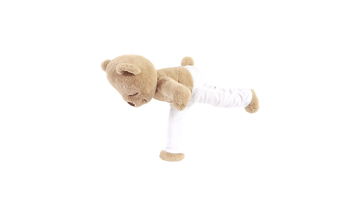 Meddy Teddy The Yoga Bear: Fun Yoga for Kids