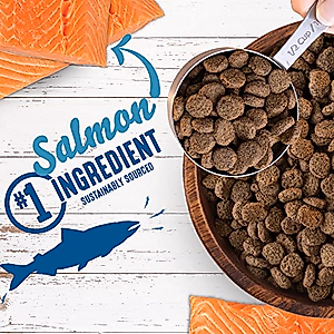 Unrefined Smoked Salmon with Ancient Grains & Superfoods Dry Dog & Puppy Food