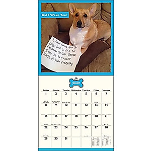 Dog Shaming 2023 Mini Wall Calendar