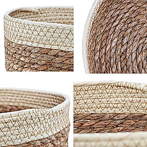Round Rattan Baskets Set for Organizing Wicker Storage Basket for Fruit, Bread Serving Basket Decorative Gift Baskets Empty, Countertop Baskets for Pantry and Bathroom
