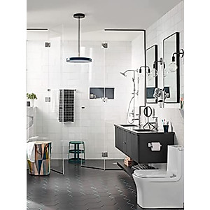 Moen Annex Chrome Shower Slidebar and Shower Hose System Trim, Valve Required, TS3661NH