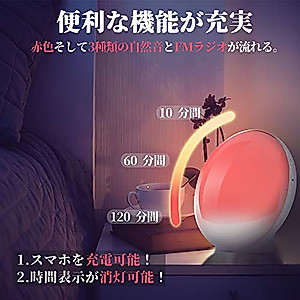 TITIROBA Wake Up Light, Sunrise Alarm Clock Radio, Bedside Lamp with Sleep Aid, Dual Alarms, Snooze, Colorful Lights, Natural Sounds for Kids Adults Bedroom
