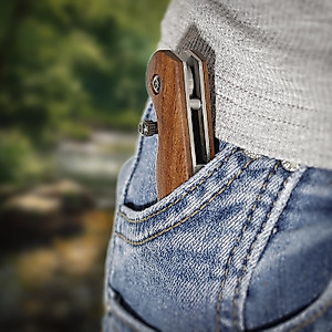 BARRYSAIL Small Pocket Knife, Folding Knife with 2.4 Inch Blade, Liner Lock, Wood Handle for EDC, Outdoor Camping, Survival (Polished)