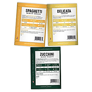 Squash Seeds for Planting 5 Individual Packets - Zucchini, Delicata, Butternut, Spaghetti and Golden Crookneck for Your Non GMO Heirloom Vegetable Garden by Gardeners Basics