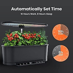 15 Pods Hydroponics Growing System with Tank Alert, Indoor Herb Garden with Grow Light, 30.31 Inches Adjustable Height, Indoor Gardening System with 5.5L Water Tank, Black