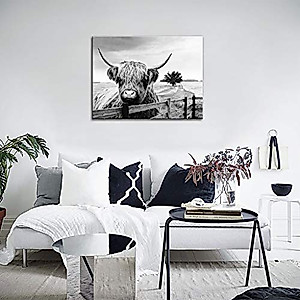 Highland Cow Canvas Black and White Landscape Pasture Hairy Cow Animal Wall Art Pictures Canvas Wall Art Farmhouse Prints Photo Contemporary Cow Decor Paintings Home Decoration Artwork 12"x16"