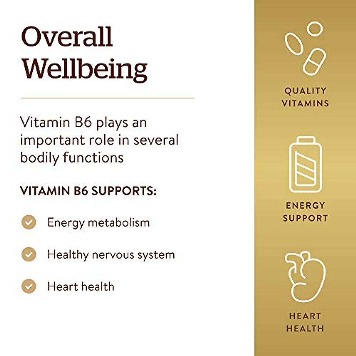 Solgar Vitamin B6 25 mg, 100 Tablets - Supports Energy Metabolism, Heart Health & Healthy Nervous System - B Complex Supplement - Vegan, Gluten Free, Dairy Free, Kosher - 100 Servings