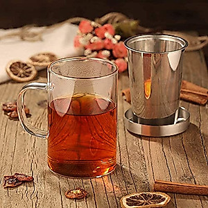 Ecooe 16.9 Oz Borosilicate Glass Tea Mug Cup Tea Glasses with Stainless Steel Infuser & Lid, Loose Leaf Glass Tea Cup Teacup 500mL