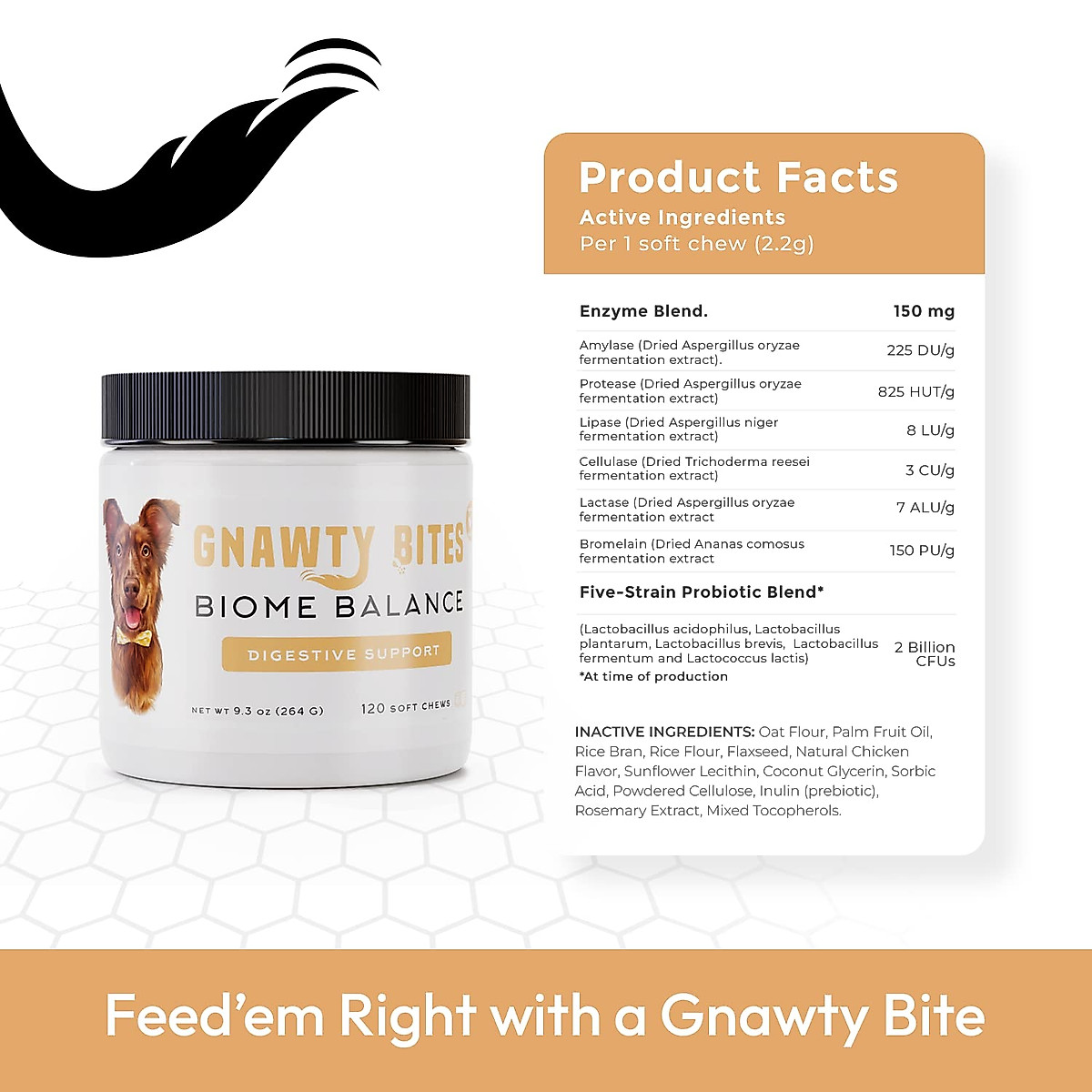 Gnawty Bites Biome Balance | Dog Probiotics for Healthy Gut Flora for Upset Stomach, Diarrhea, & Bowel Support with Digestive Enzyme & Lactobacillus (5-Strain Probiotic Blend), 120 Soft Chews