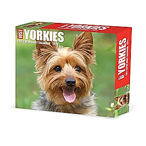 Just Yorkies 2021 Box Calendar (Dog Breed Calendar)