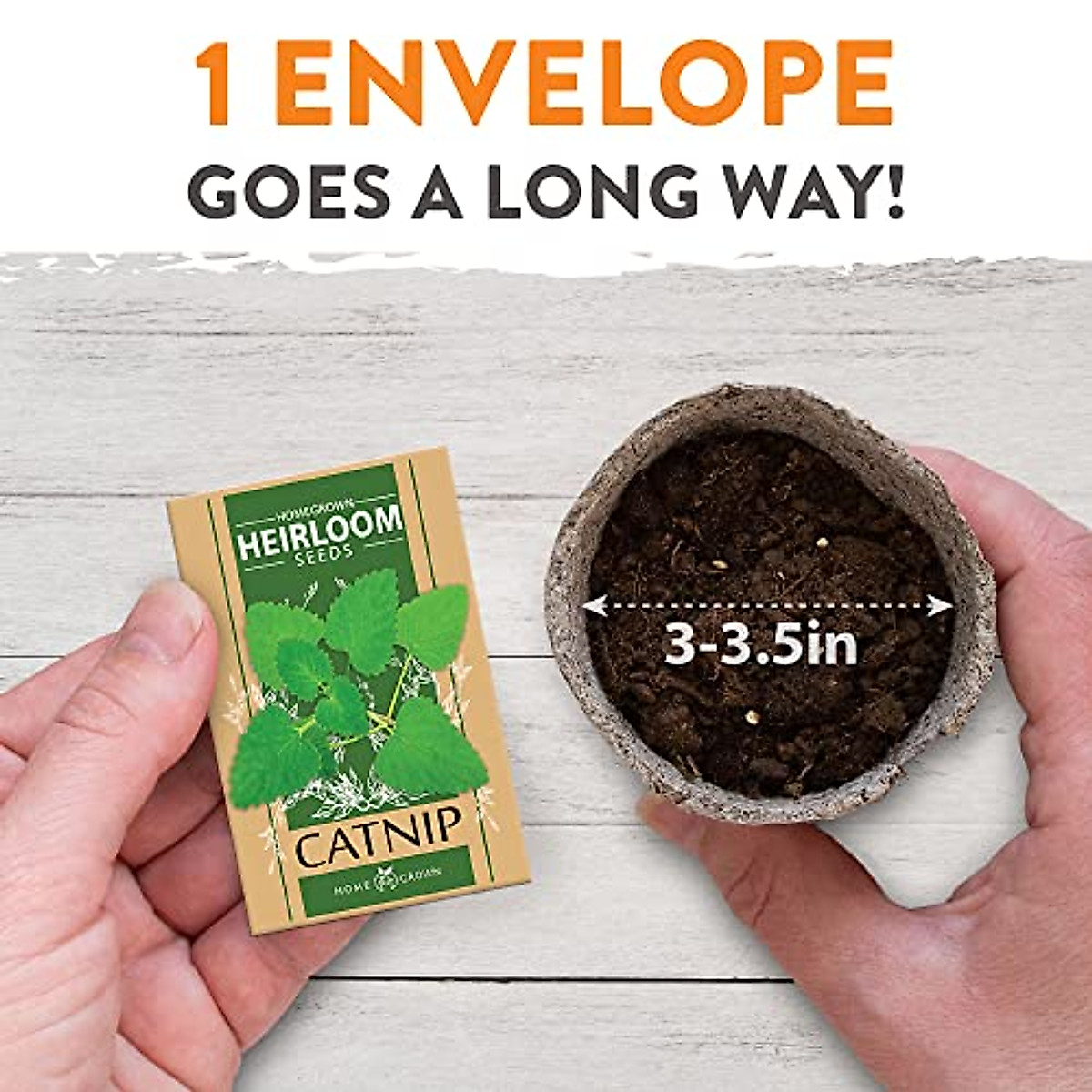 HOME GROWN 2100+ Cat Grass Seeds - Catnip Seeds, Lemongrass, Licorice, Thyme Seeds, Valerian - Grow Cat Grass for Indoor Cats - Cat Grass Seeds Bulk - Refill Cat Growing Grass Kit