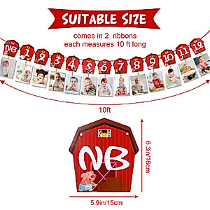 Farm Animal Theme Photo Banner 1st Birthday Monthly Banner Newborn to 12 Month Photo Display Milestone Photograph for Barnyard First Birthday Party Decorations Supplies