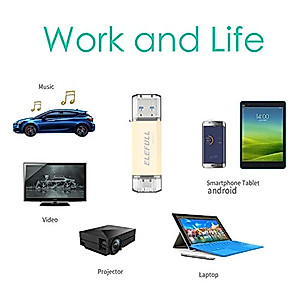 Type C USB Flash Drive 256GB 128GB 64GB 32GB for Android Smart Phones Computer Laptop USB-C 3.0 High Speed Copay Photos Videos Music etc.(32GB)