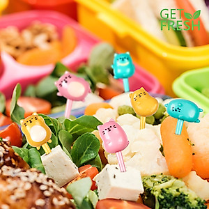 GET FRESH Animal Food Picks for Kids – 18-pcs Cat Food Picks for Toddlers Lunch Decoration – Cute Cat Bento Toothpicks for Children – Reusable Kids Foods Picks Toothpicks Set for Bento Deco