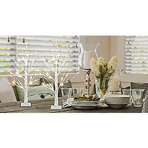 EAMBRITE Home Decorations Light Up Tree Indoor,Set of 4, Battery Operated Tabletop Birch/Bonsai Tree Led Lights Money Tree Wedding Party (2FT / Warm White)