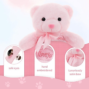 Tezituor 2 Pack Pink and Blue Teddy Bear, Small Teddy Bear Stuffed Animal Plush for Christmas Valentines Day Baby Shower Birthday, Cute Pink Blue Bear Stuffed Animal for Girl Boy