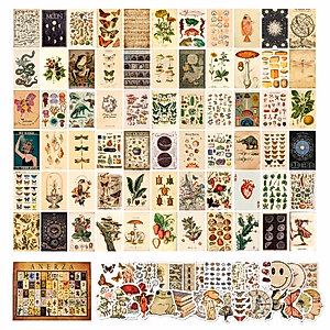 ANERZA 100 PCS Vintage Wall Collage Kit Aesthetic Pictures, Cottagecore Room Decor for Bedroom Aesthetic, Posters for Room Aesthetic, Cute Dorm Photo Wall Decor for Teen Girls, Botanical Wall Art