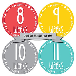 Months In Motion Pregnancy Weekly Belly Growth Stickers - Week to Week Pregnant Expecting Photo Prop - Maternity Keepsake - Baby Bump - Large Set of 36 Weekly Photo Sticker