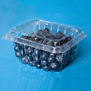 Plastic Berry Baskets (40-Pack) with Clamshell Lids 5-Inch Berry Boxes for Picking Blueberries Raspberries Strawberries Cherry Tomatoes