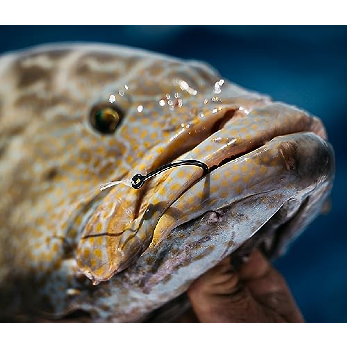 Mustad Demon Offset Circle, 4X Strong - Black Nickel-Size 10/0 - Pack of 5