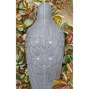 ZILIN Plastic Crow Decoy with Magnet, Ideal for Crow Control