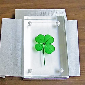 Clovers Online Genuine Preserved Four Leaf Clover Suspended in a Modern Minimalistic Clear Thick Acrylic Free Standing Block Frame for Tabletop or Desktop Decor